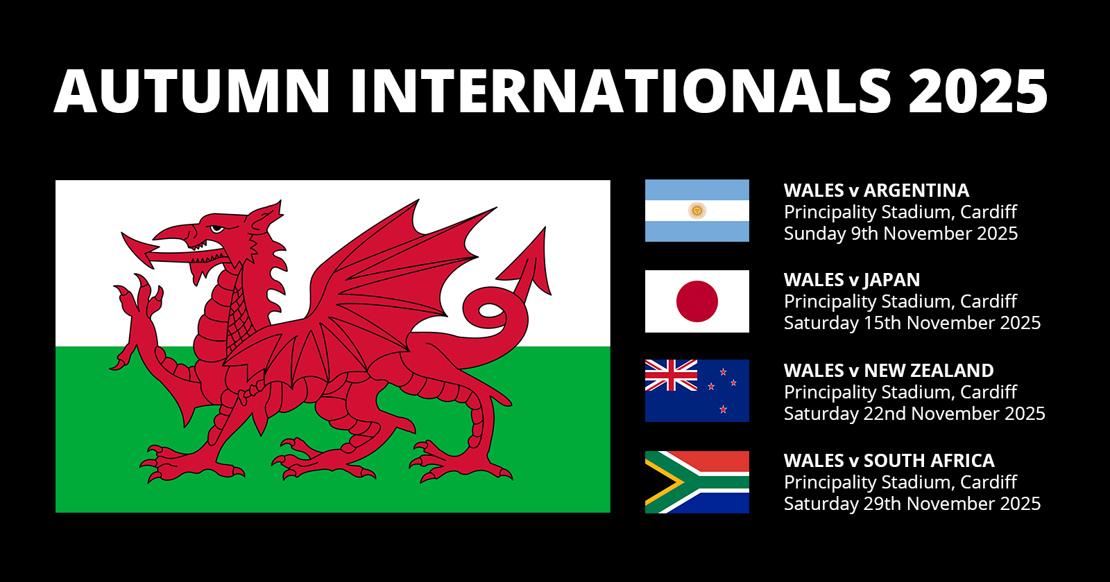 Wales Autumn Internationals 2025 Rugby Fixtures